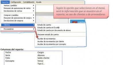 Reporte Auxiliar de Cuentas: Auxiliar de Clientes y de Movimientos